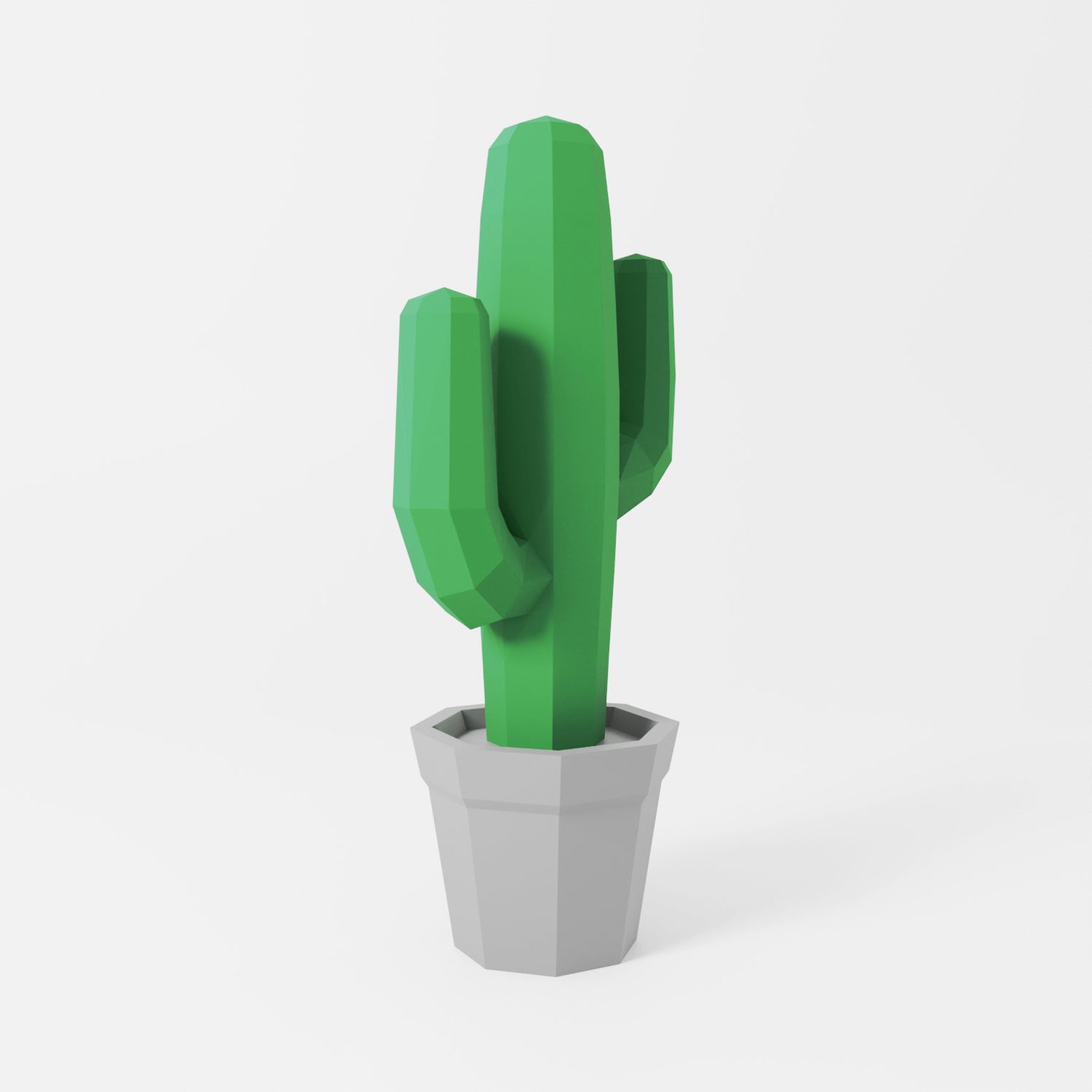 Cactus, Printable PDF Template, Papercraft, Download, 3d, Low Poly - Etsy