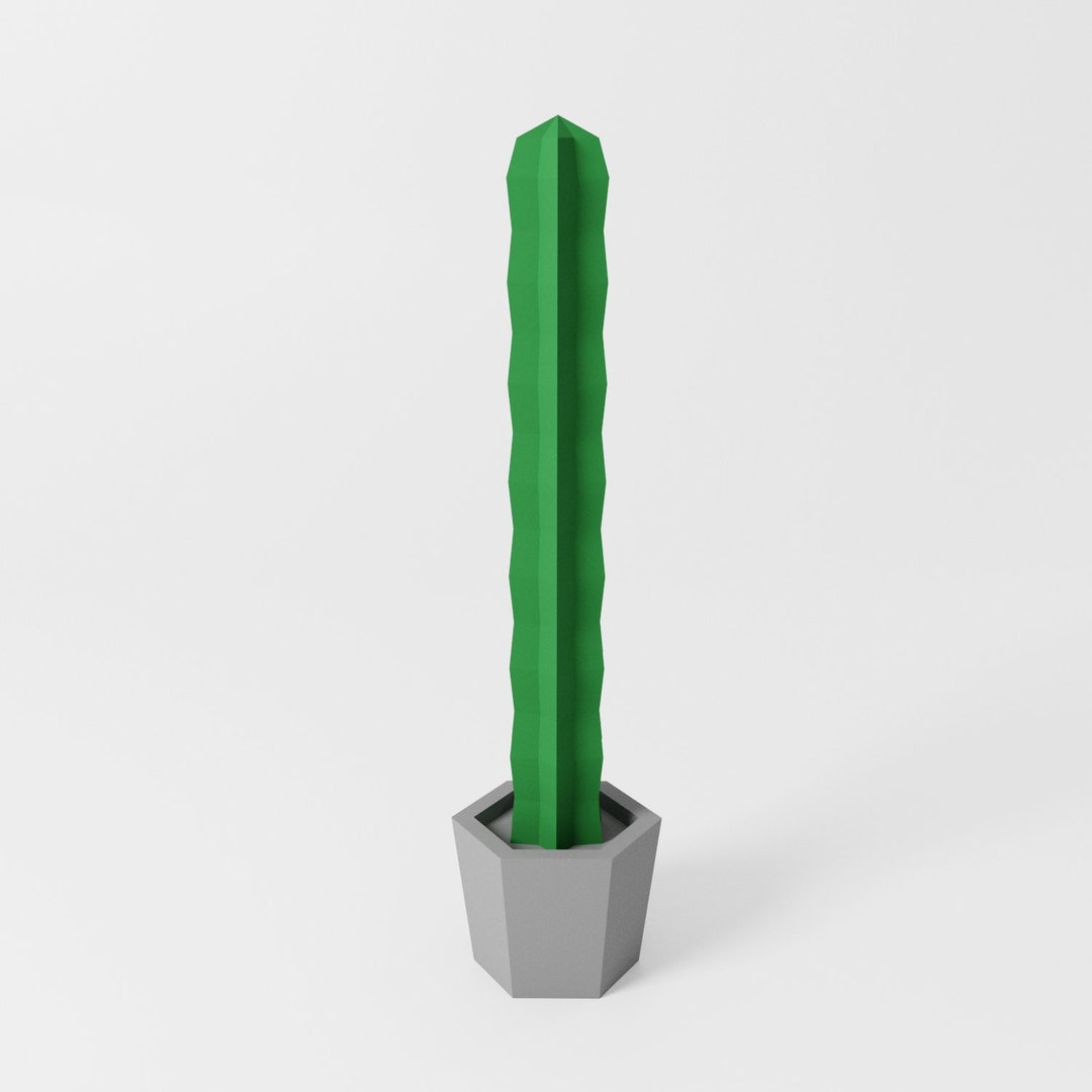 Cactus, Printable PDF Template, Papercraft, Download, 3d, Low Poly - Etsy
