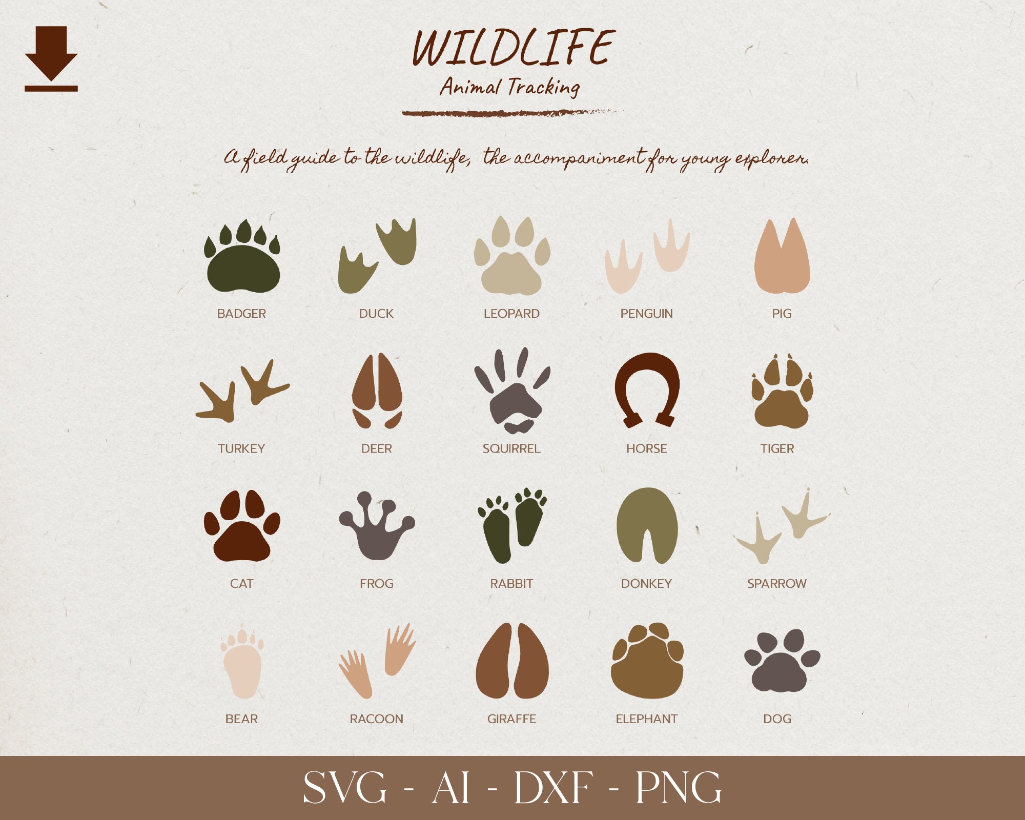 Wildlife Animal Tracking SVG, Animal Footprints Svg, Paw Prints SVG ...