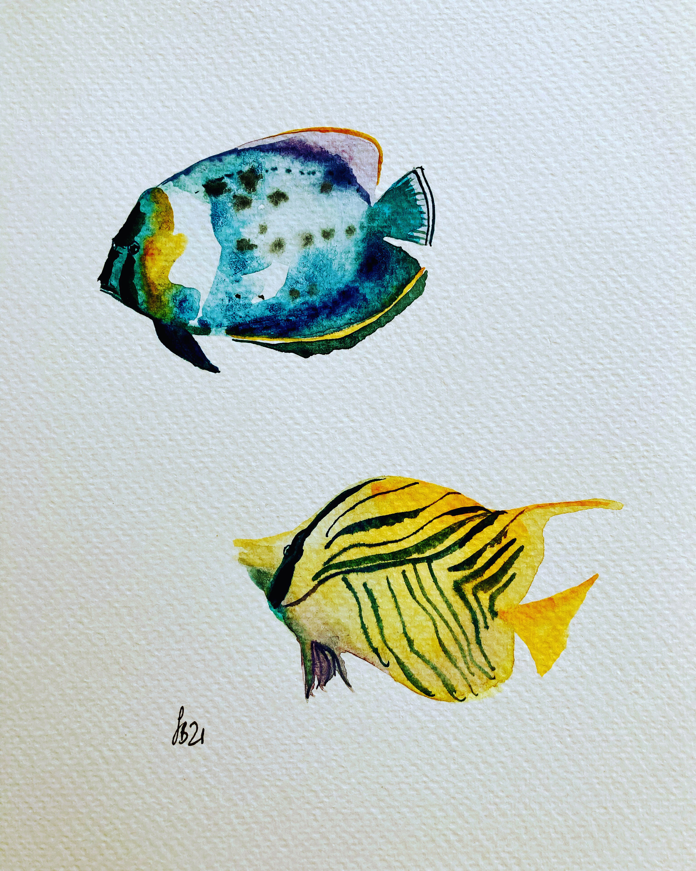 Tropical Fish - Etsy