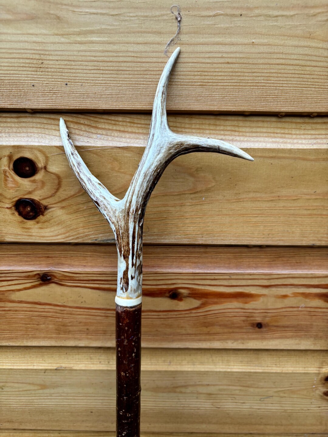 Roe Deer Walking Stick - Etsy