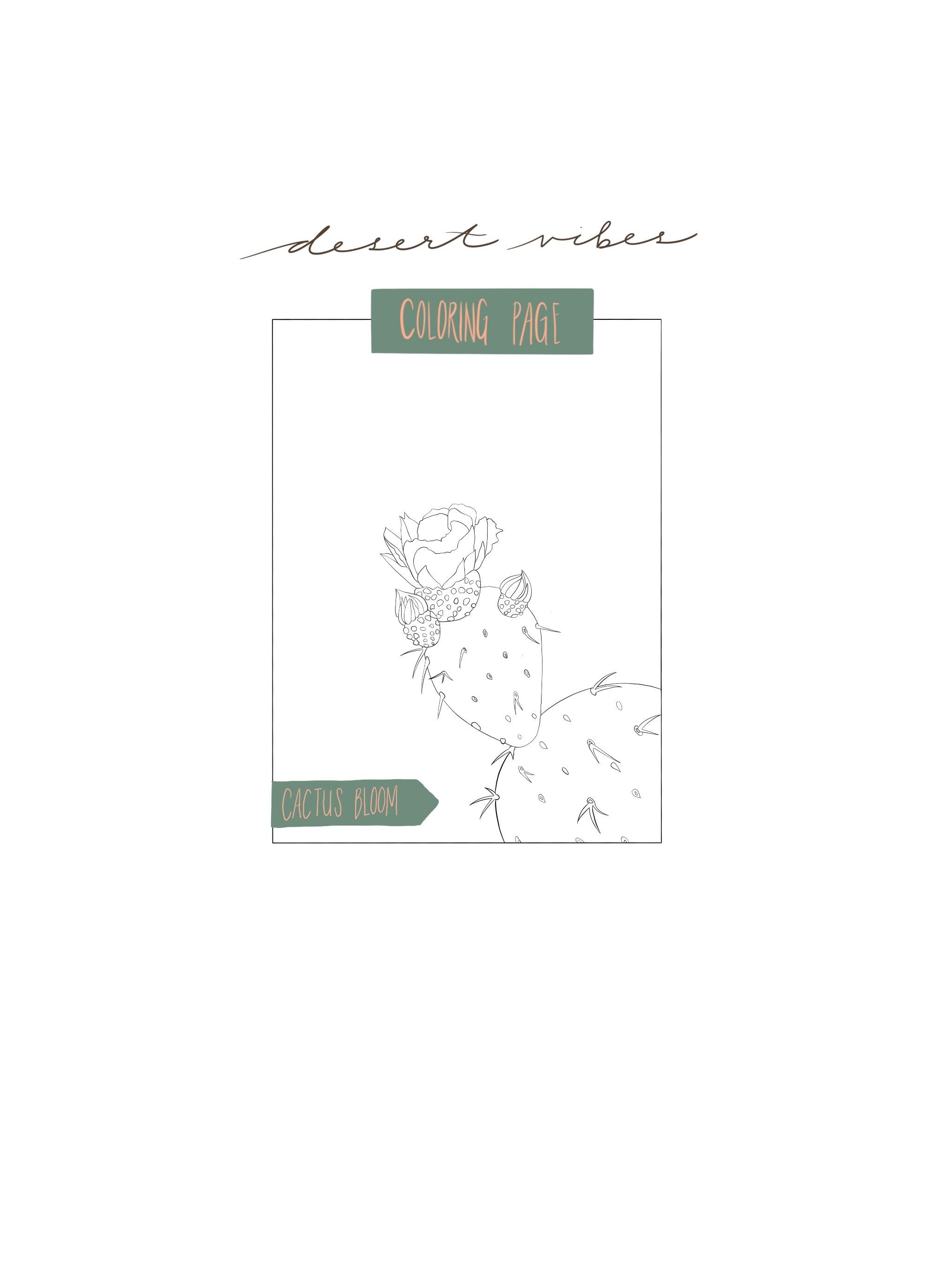 Cactus Bloom Desert Vibes Coloring Page Digital Printable - Etsy