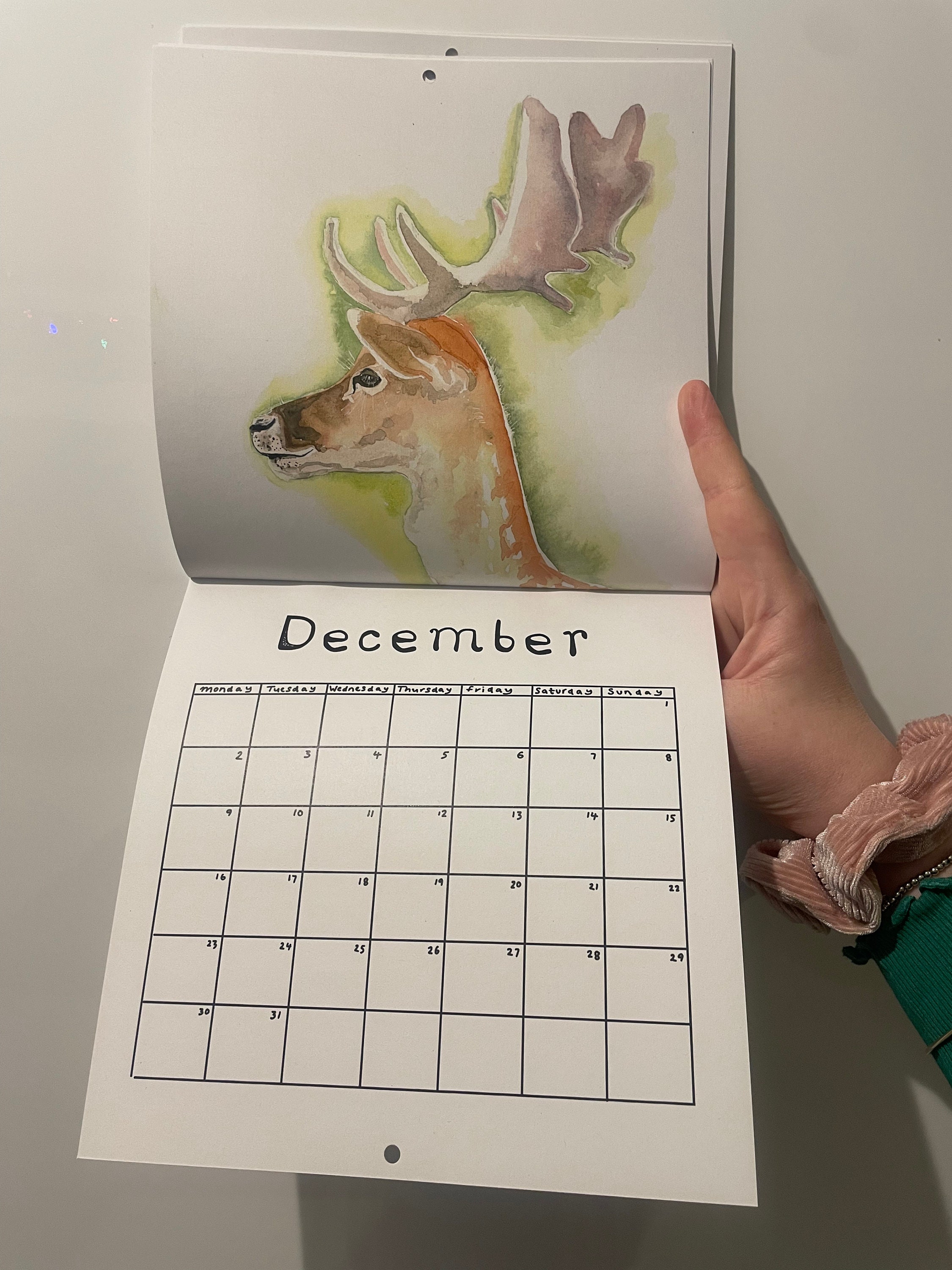 2024 Woodland Creature Calendar - Etsy UK