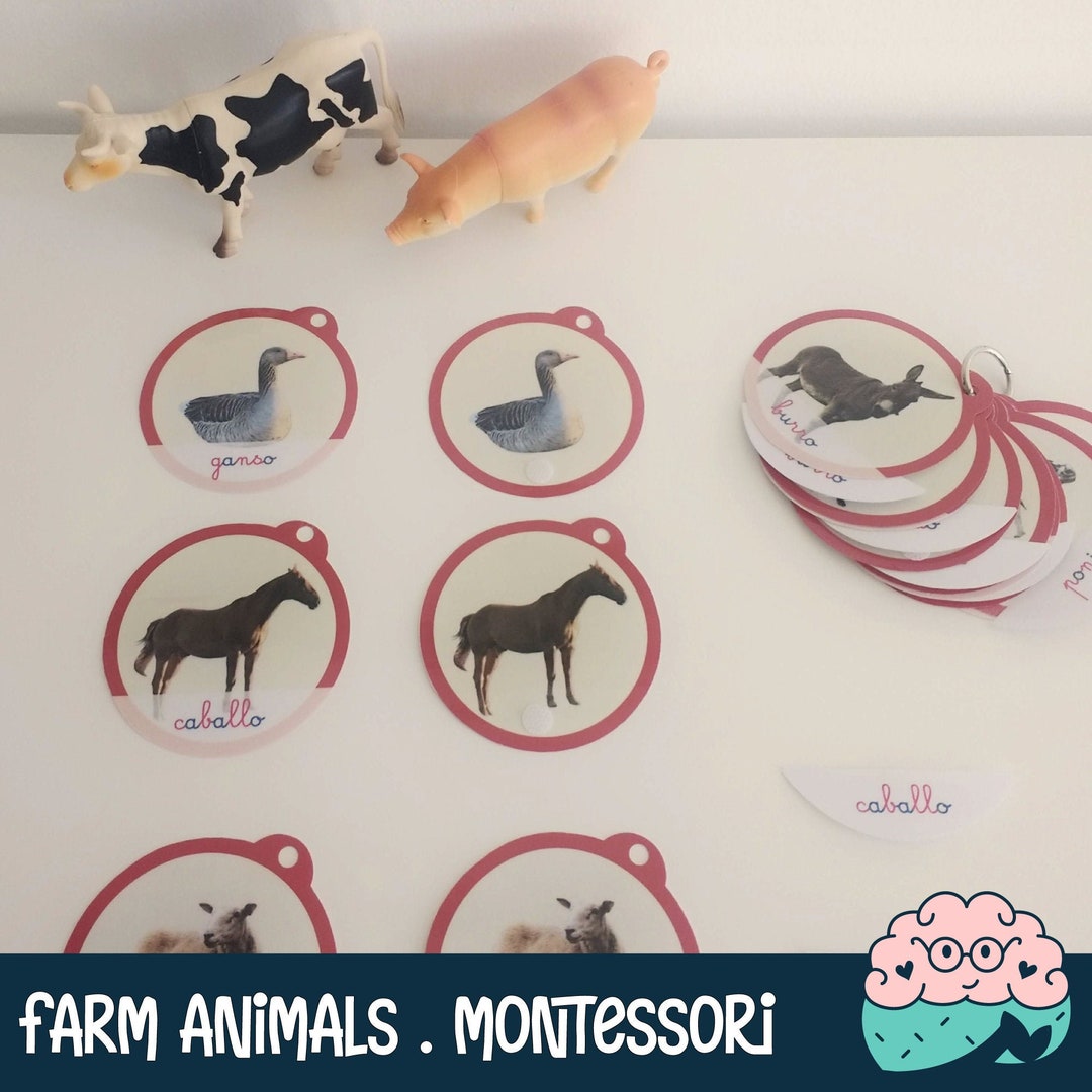 Three Part Cards Montessori, Flashcards, Farm Animals, Memory Cards ...