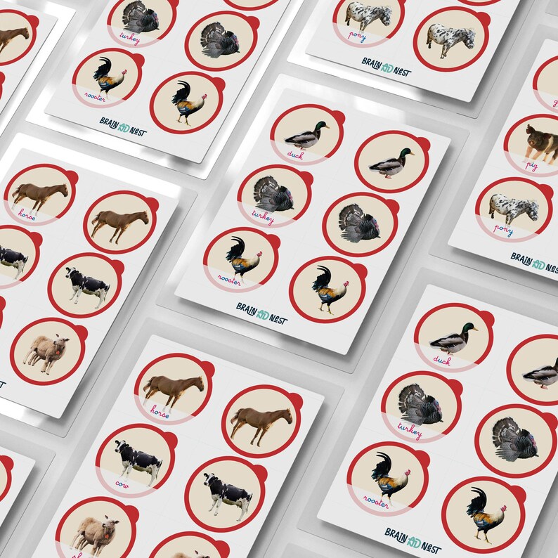 Three Part Cards Montessori Flashcards Farm Animals Memory | Etsy