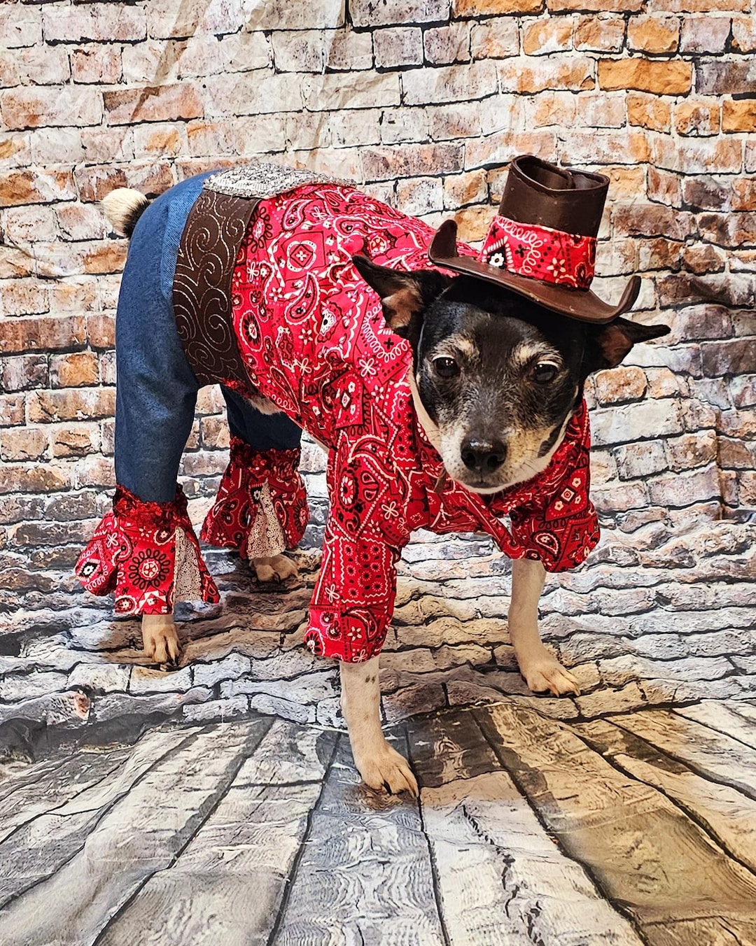 Cowboy Pet Costume, Cowboy Dog Costume, Western Pet Suit, Country Pet ...