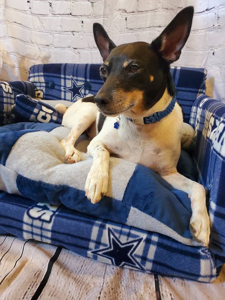 Dallas Cowboys Pet Couch Dallas Cowboys Dog Couch Dallas | Etsy