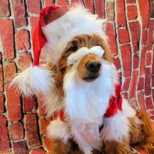 Pet Santa Shirt and Hat, Santa Dog Shirt Hat, Santa Pet Costume, Santa ...