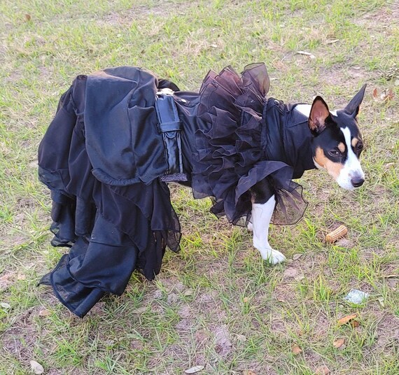 Wednesday Dog Images
