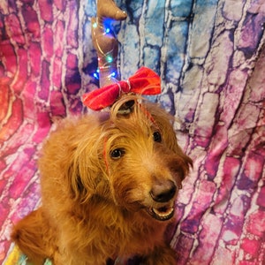 Max the Grinch Pet Antlers, Max the Grinch That Stole Christmas Dog ...