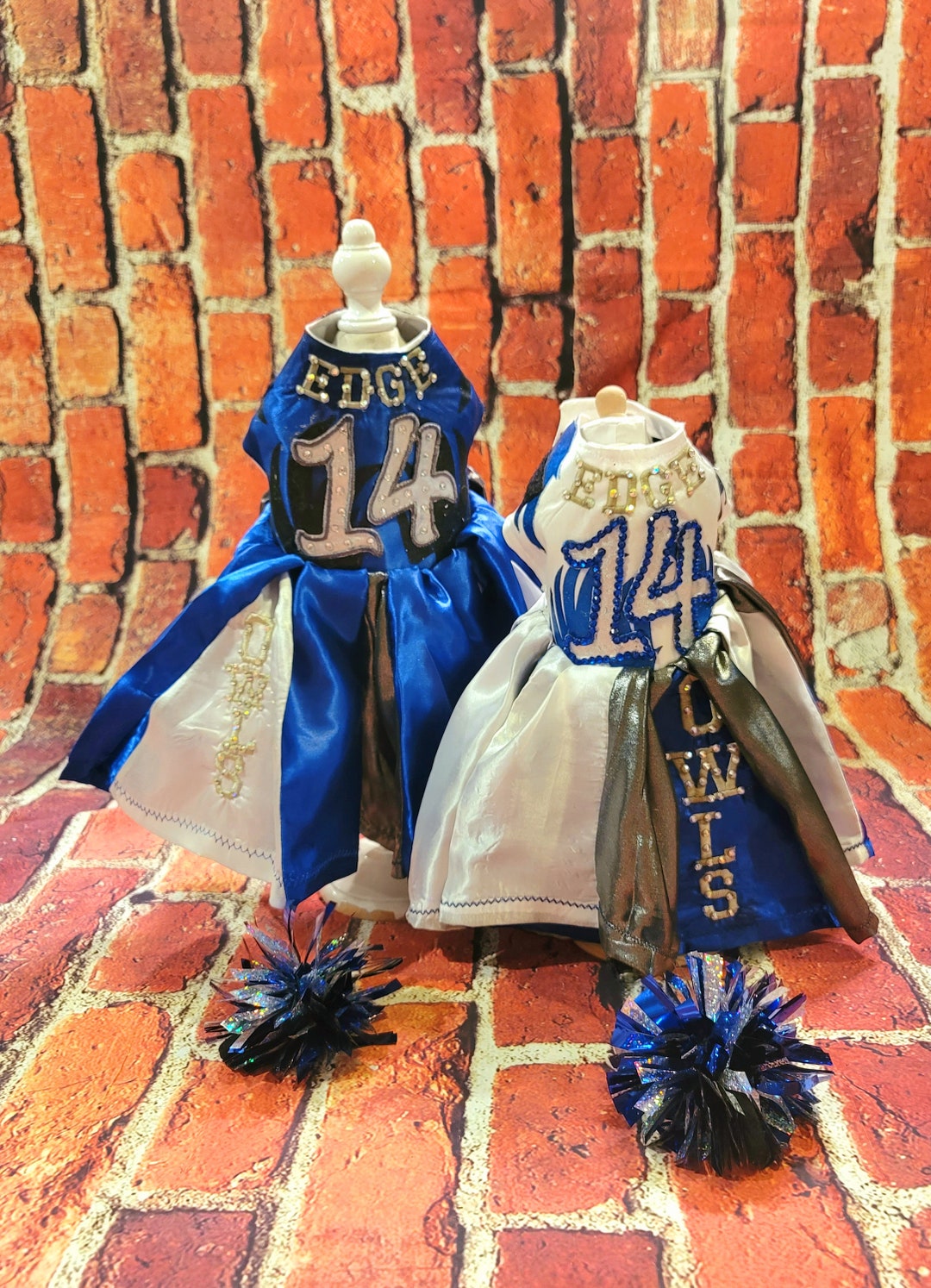 Personalize Cheerleading Pet Dress, Diy Team Pet Dress, Dog ...