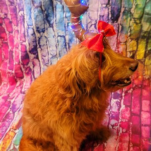 Max the Grinch Pet Antlers, Max the Grinch That Stole Christmas Dog ...