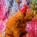 Max the Grinch Pet Antlers, Max the Grinch That Stole Christmas Dog ...