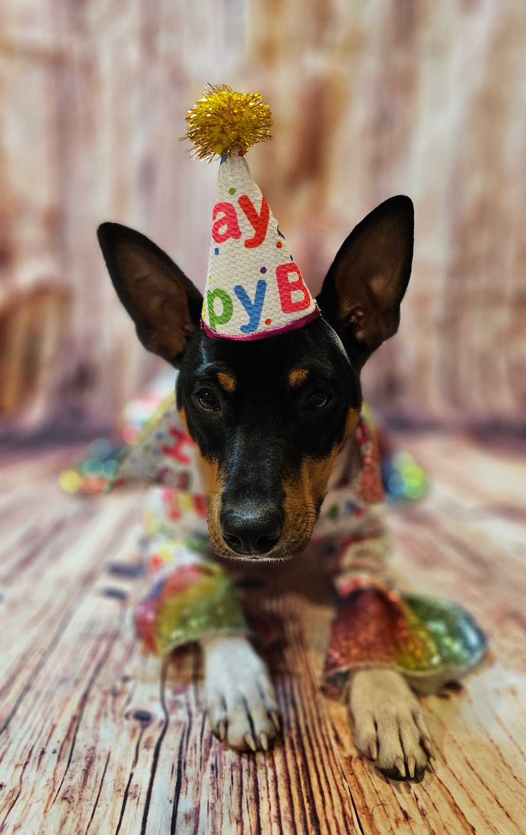 Pet Birthday Hat, Dog Birthday Hat, Happy Birthday Dog Hat, Happy ...