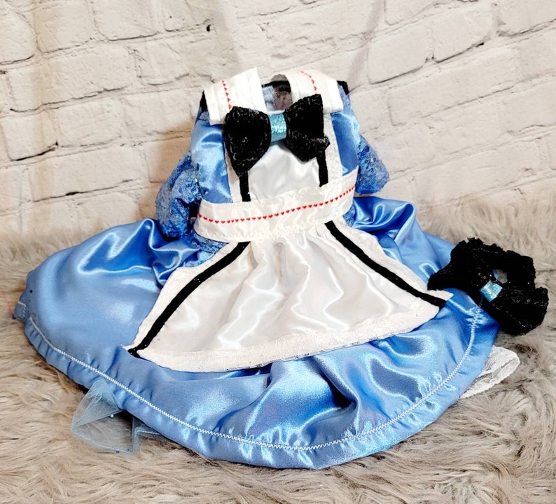 Alice in Wonderland Pet Costume Alice in Wonderland Dog - Etsy