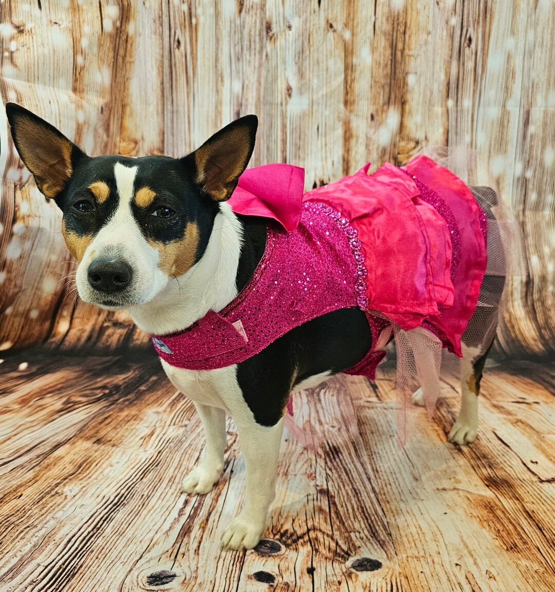 Pink 80's Pet Prom Dress, 80's Dog Prom Dress, 80's Cat Prom Dress, 80 ...