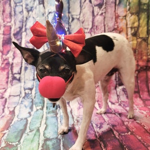 Max the Grinch Pet Antlers, Max the Grinch That Stole Christmas Dog ...