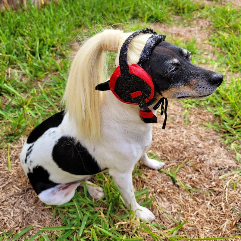 Dog Wigs - Etsy