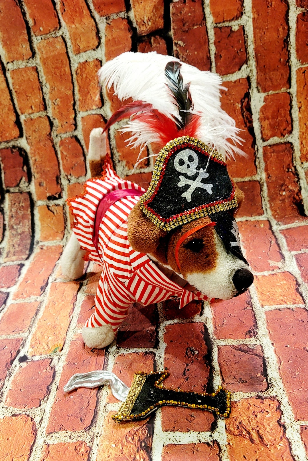 Pet Pirate Male Costume Dog Pirate Costume Pirate Pet - Etsy