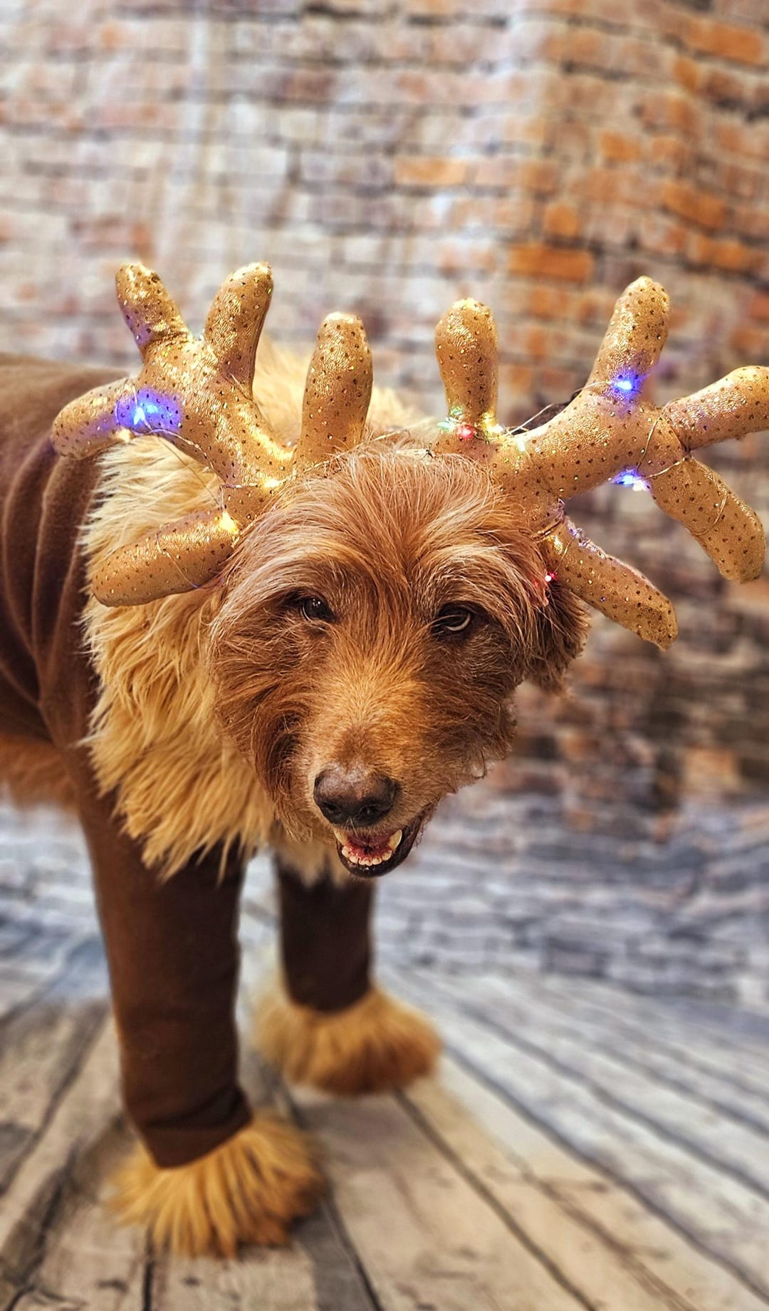 Light up Pet Antlers, Light up Dog Antlers, Reindeer Pet Antlers, Light ...