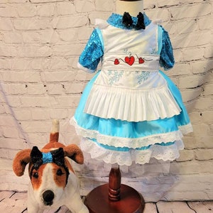 Alice in Wonderland Pet Costume, Alice in Wonderland Dog Costume, Alice ...
