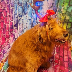 Max the Grinch Pet Antlers, Max the Grinch That Stole Christmas Dog ...
