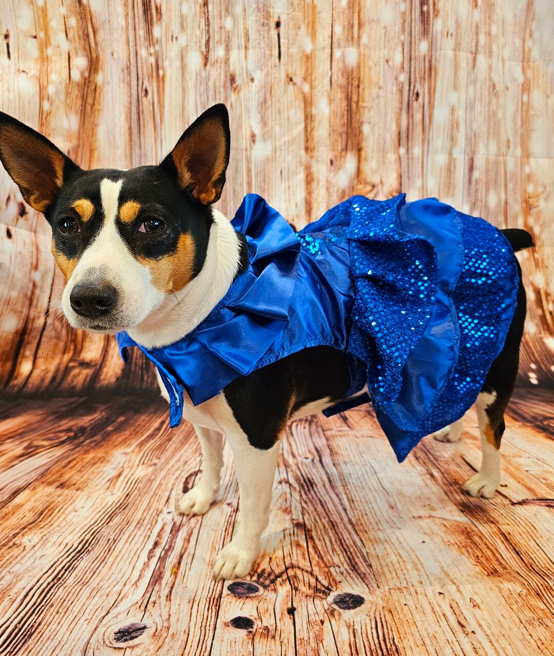 Blue 80's Pet Prom Dress, 80's Dog Prom Dress, 80's Cat Prom Dress, 80 ...