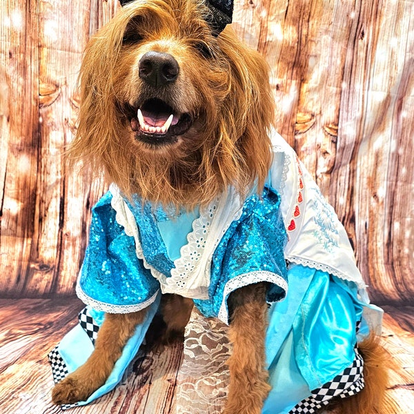 Alice Costume - Etsy