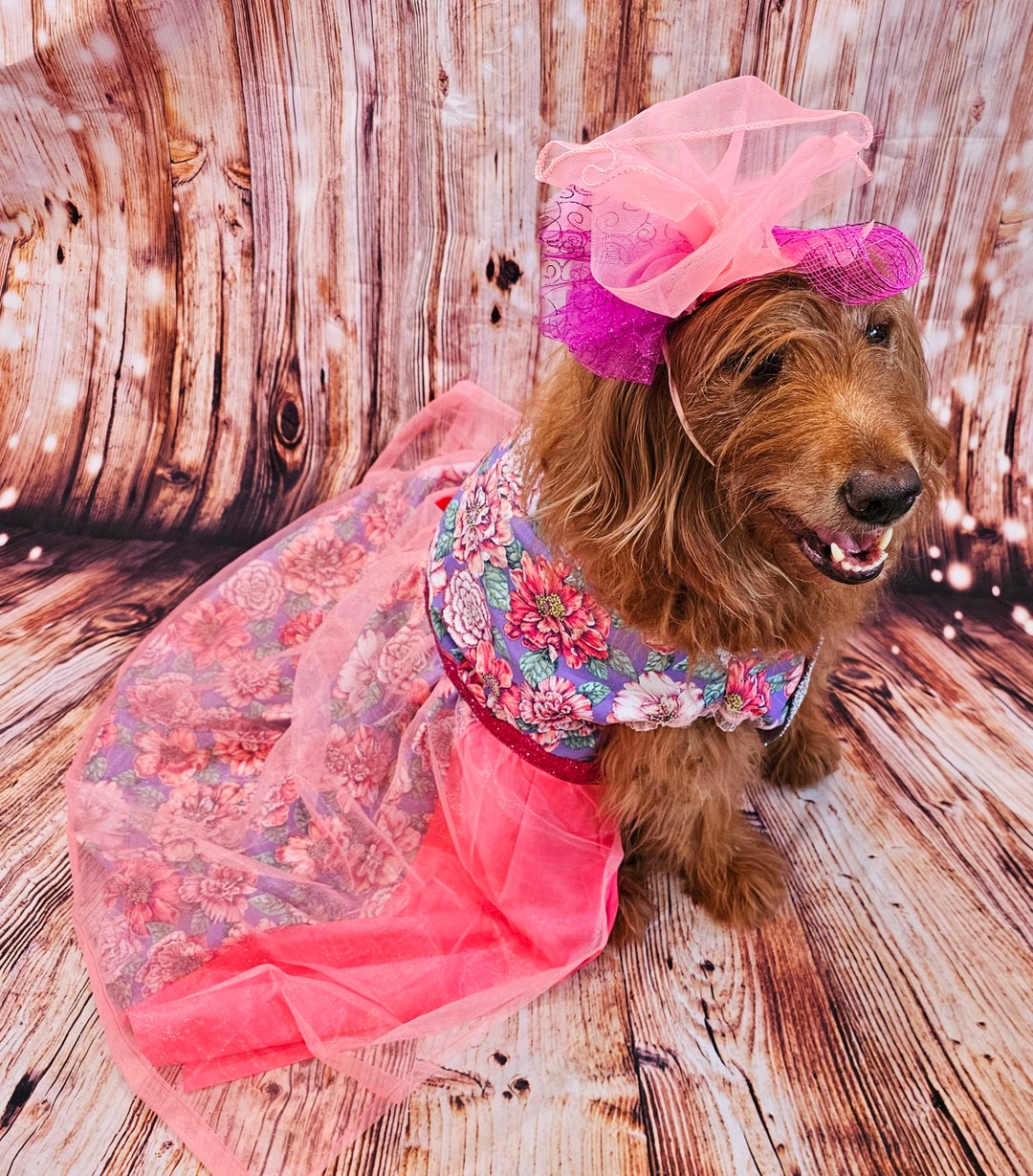 Kentucky Derby Pet Dress and Hat, Kentucky Derby Dog Dress and Hat ...