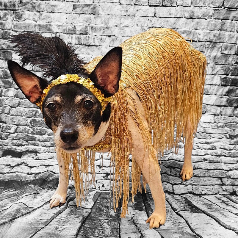 Flapper Accessories - Etsy