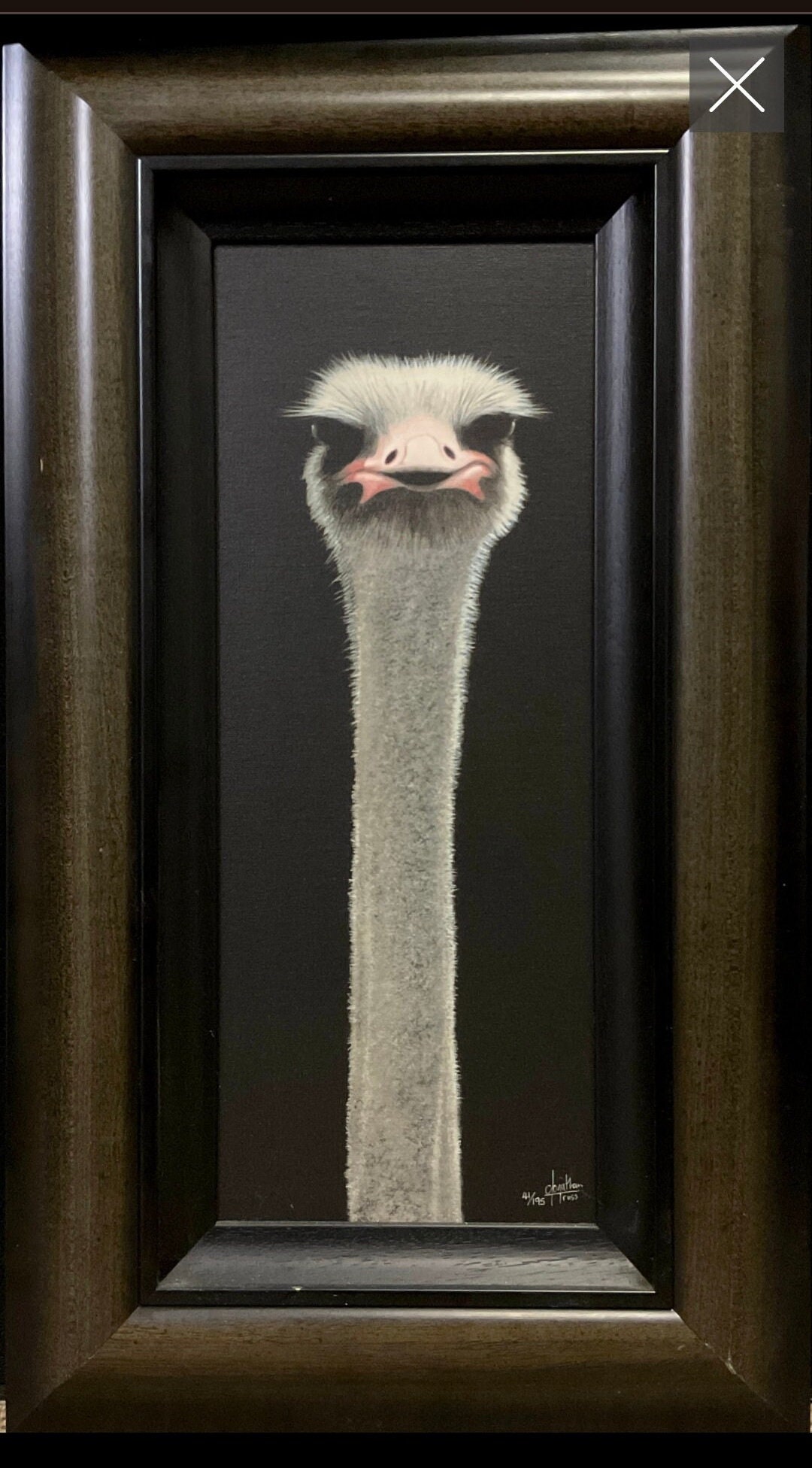 Jonathan Truss (british 1960) Limited Edition Framed Print "we Are Not Amused" (41/195) - Etsy