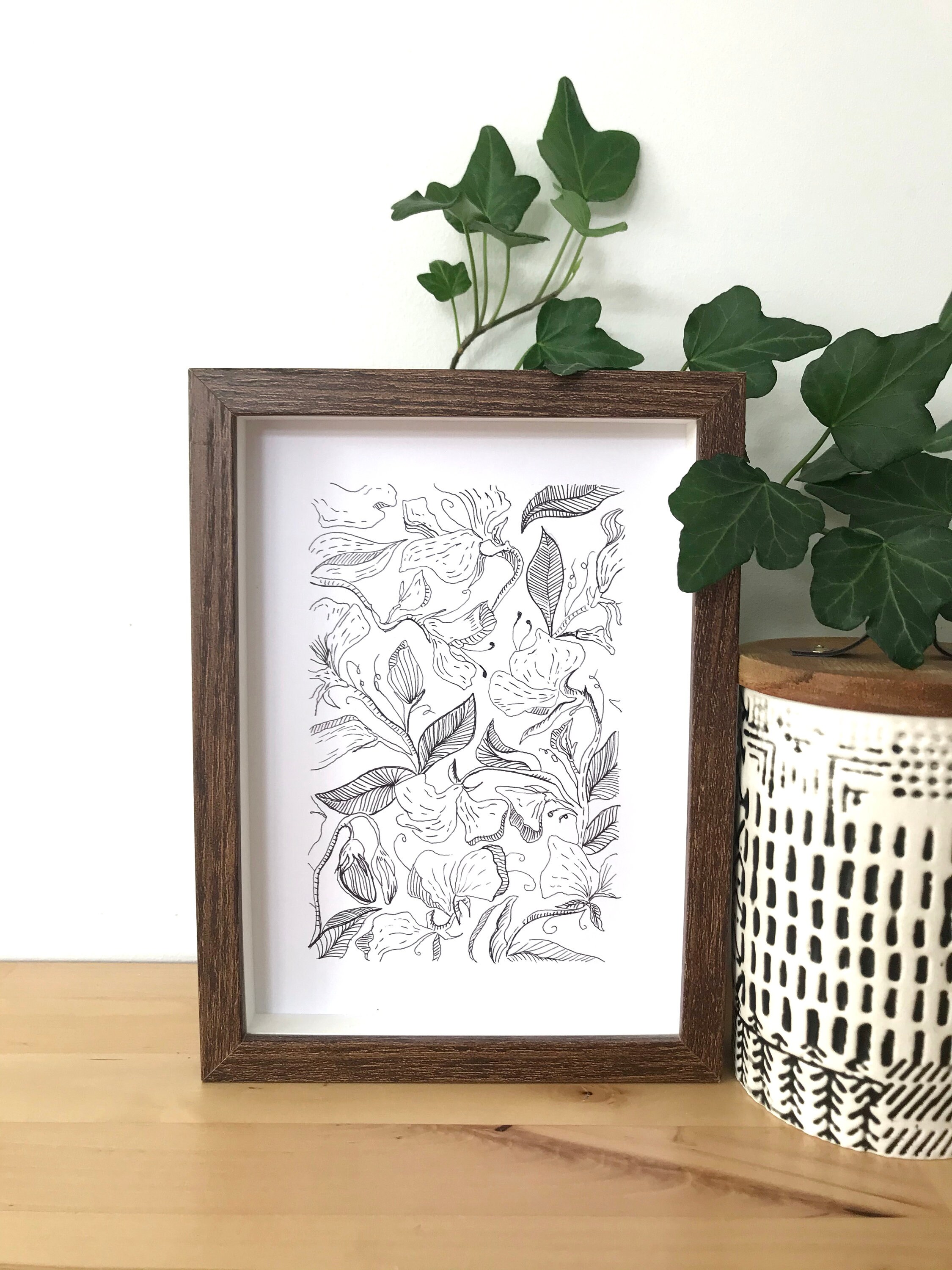 Sweet pea flower hand-drawn fineliner illustration wall art | Etsy