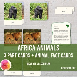 AFRICA ANIMALS Three Part Cards Lesson Plan Animal Facts Montessori ...