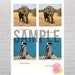 AFRICA ANIMALS Three Part Cards Lesson Plan Animal Facts Montessori ...