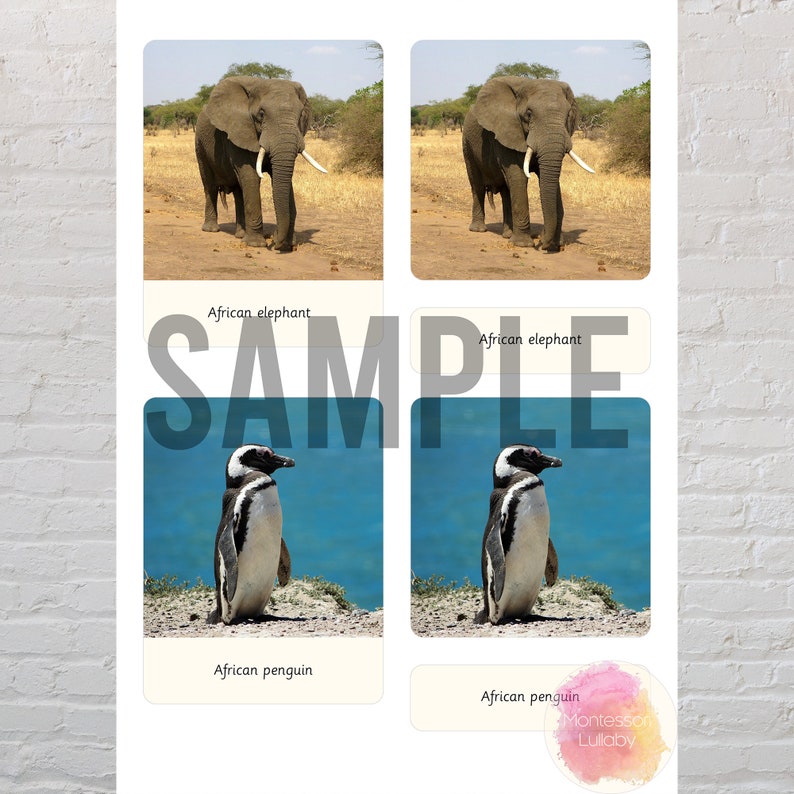 AFRICA ANIMALS Three Part Cards Lesson Plan Animal Facts Montessori ...