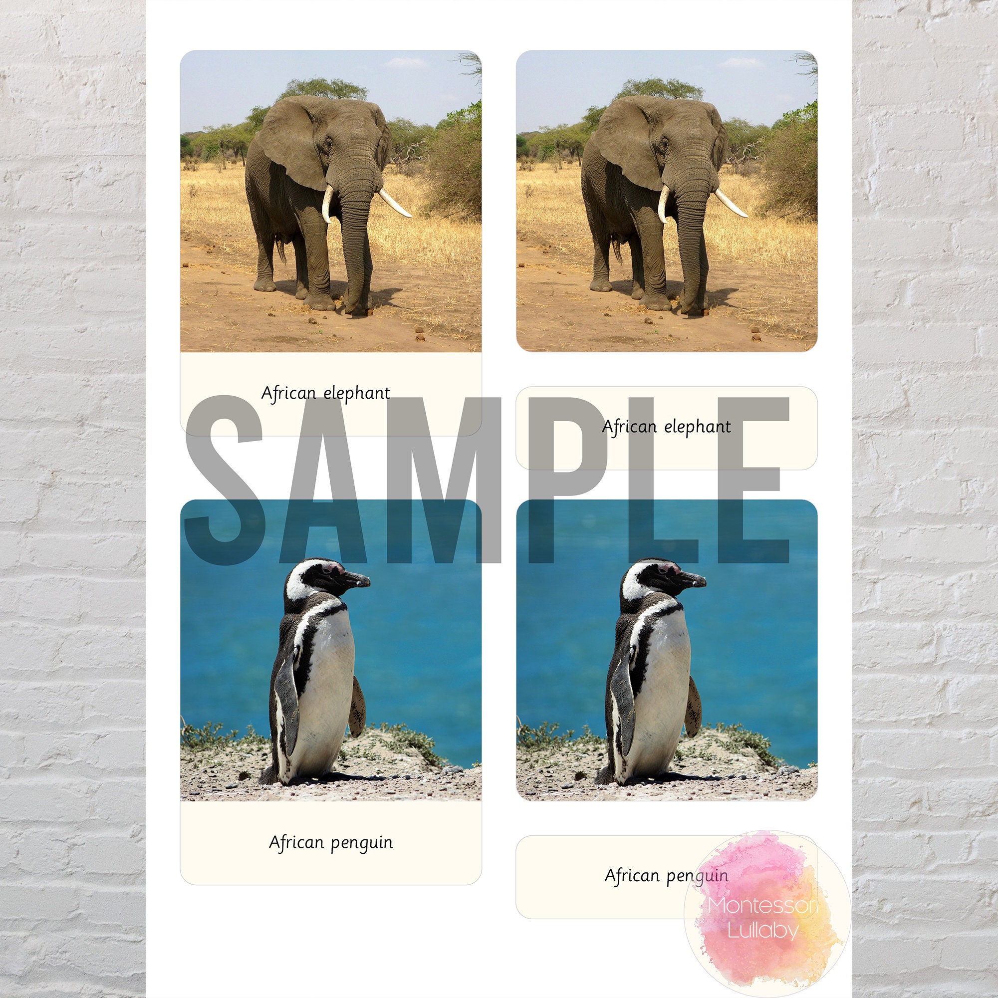 AFRICA ANIMALS Three Part Cards Lesson Plan Animal Facts Montessori ...