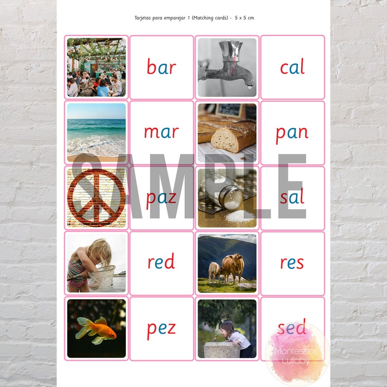 Print SERIE ROSA MONTESSORI Cvc Words Matching Cards - Etsy