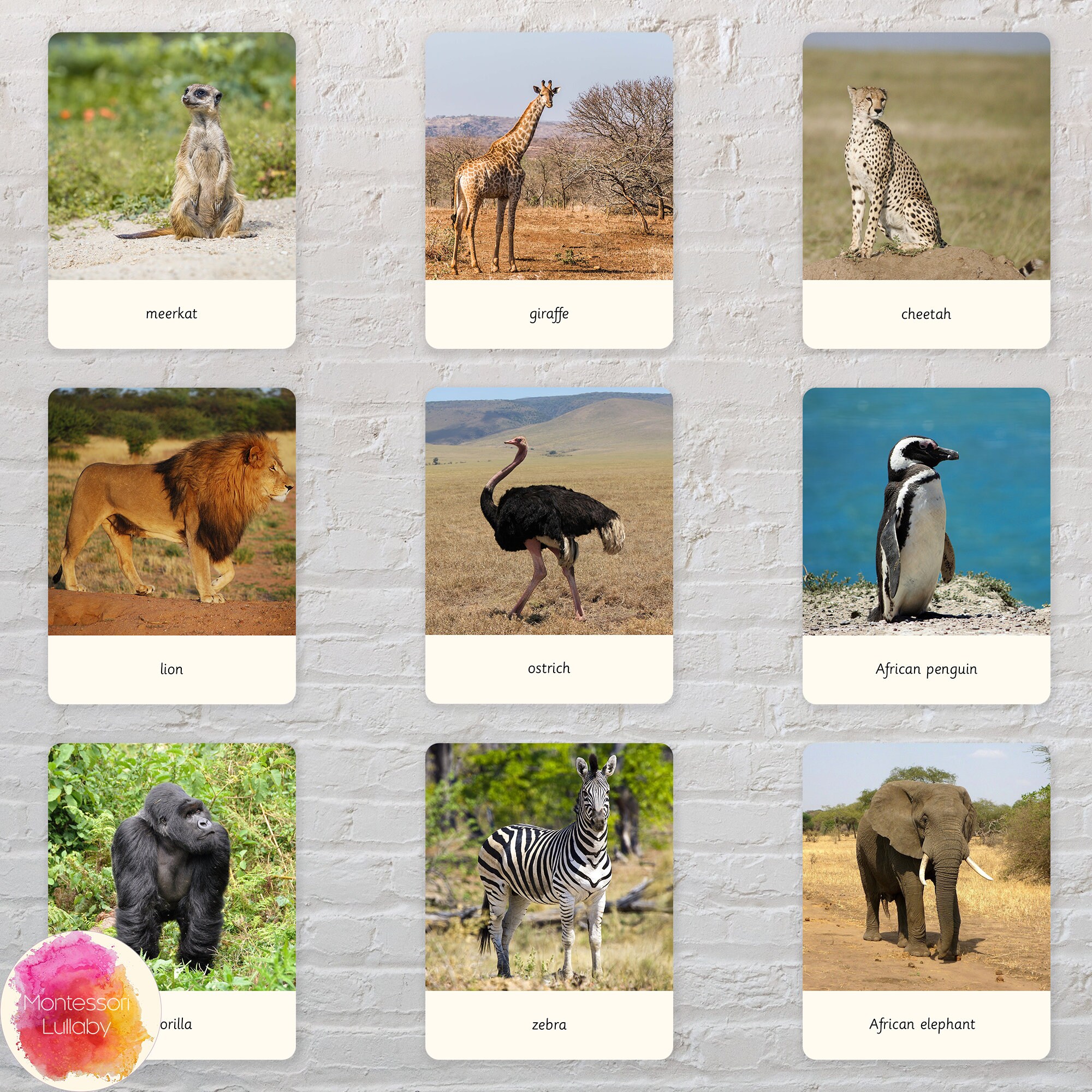 AFRICA ANIMALS Three Part Cards Lesson Plan Animal Facts Montessori ...
