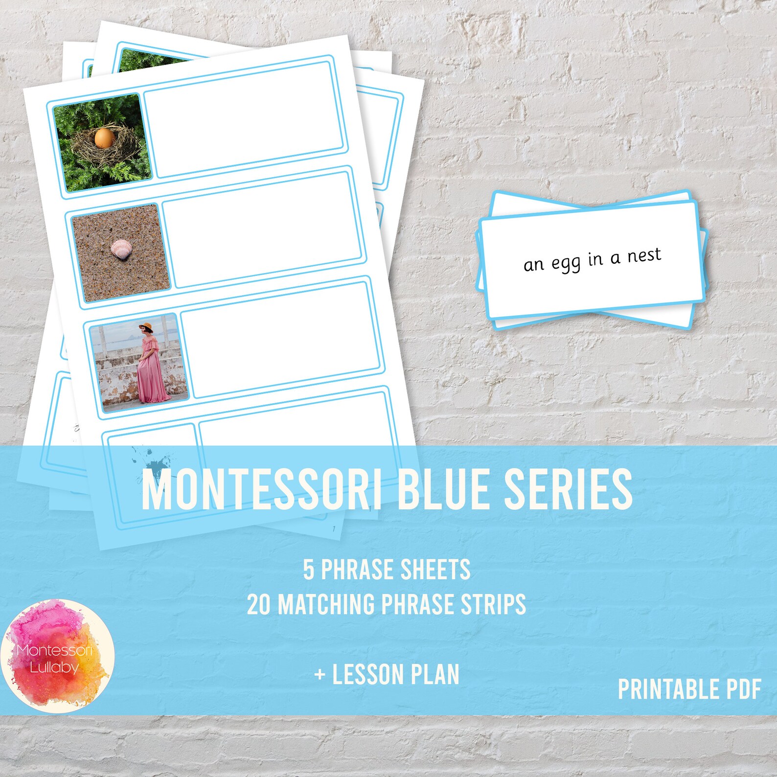 BLUE SERIES MONTESSORI Phrase Strips Reading matching Cards digraph ...