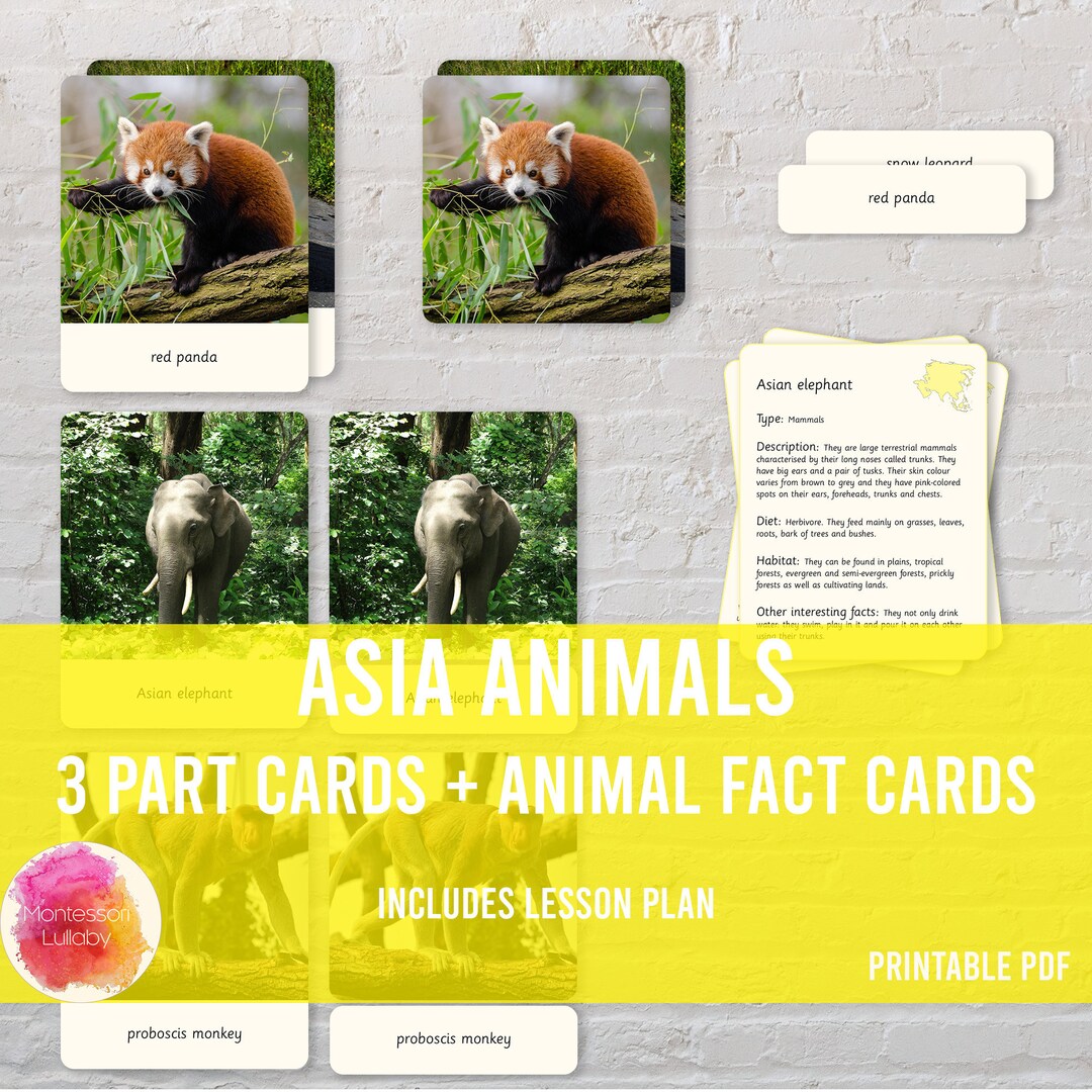 ASIA ANIMALS Three Part Cards Lesson Plan Animal Facts Montessori Cards ...