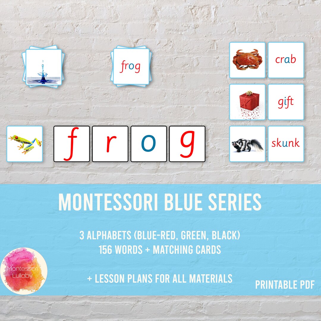 BLUE SERIES MONTESSORI Words and Pictures Matching Cards Red/blue ...