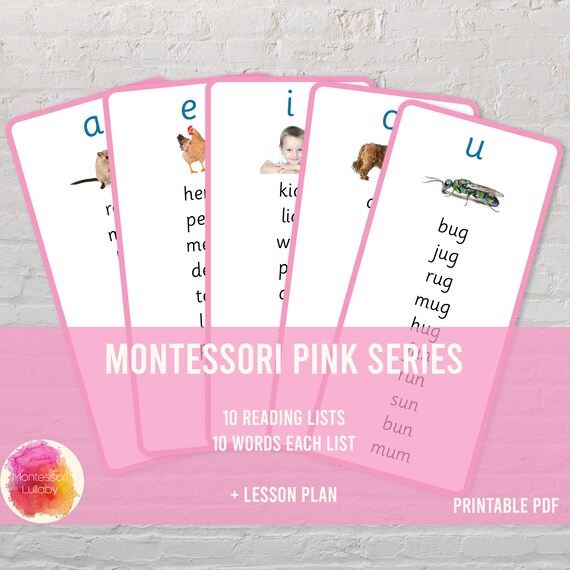 MONTESSORI READING LISTS Pink Series Cvc Words Lesson - Etsy