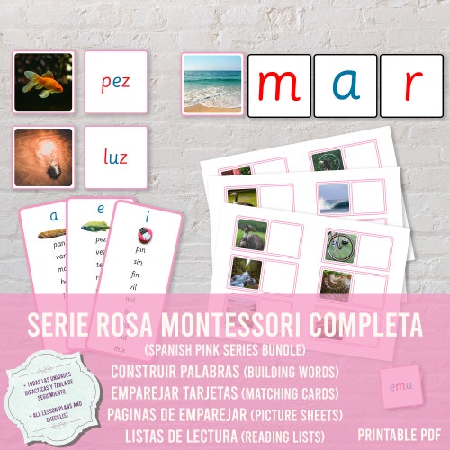 Print SERIE ROSA MONTESSORI Cvc Words Matching Cards - Etsy