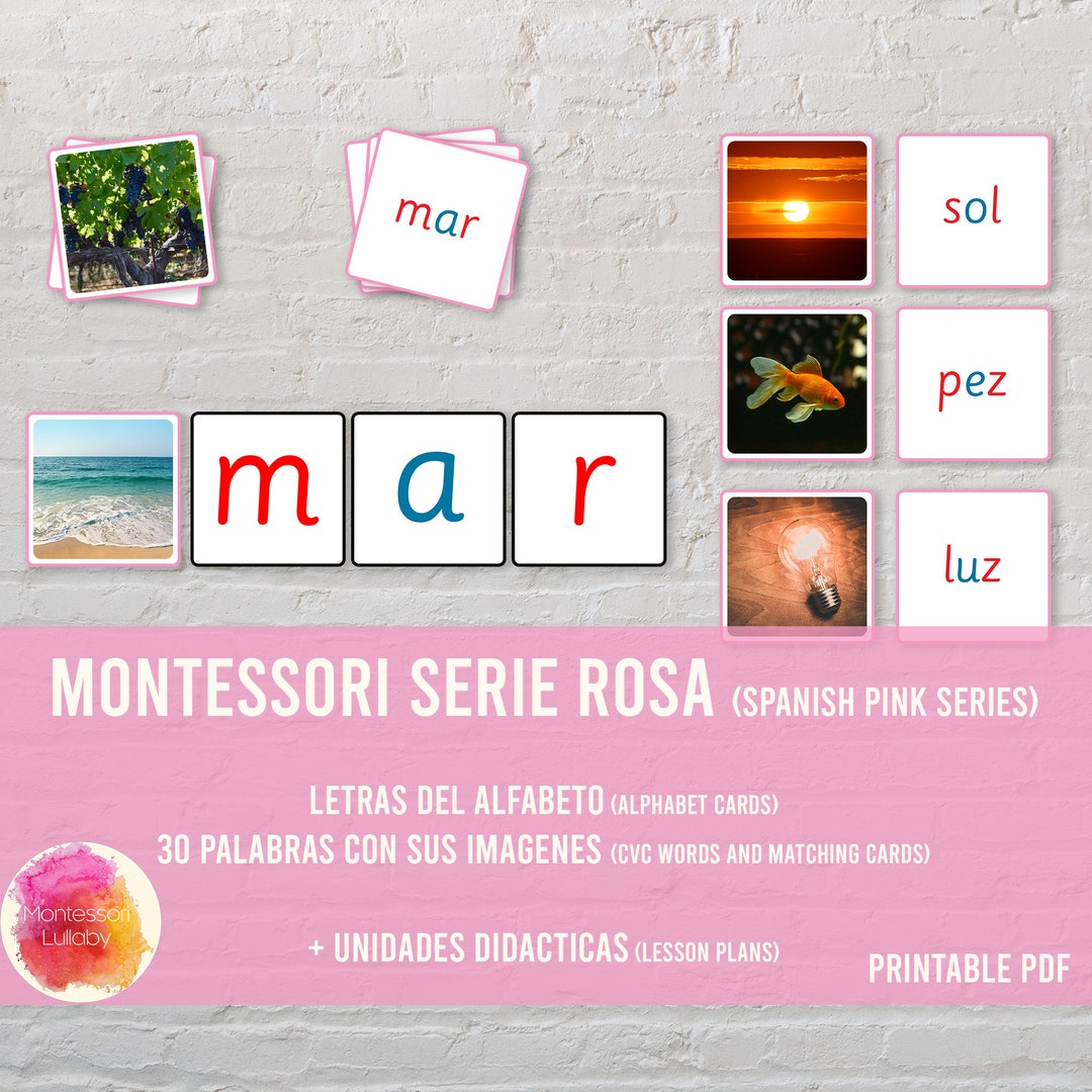 Print SERIE ROSA MONTESSORI Cvc Words Matching Cards - Etsy