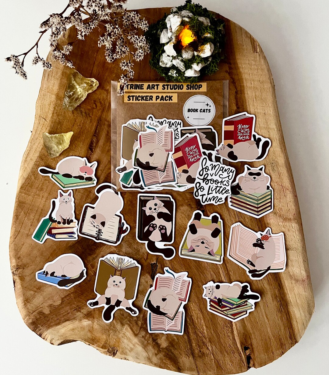 Sticker Pack Book Cats Bullet Journal Stickers, Planner Stickers ...
