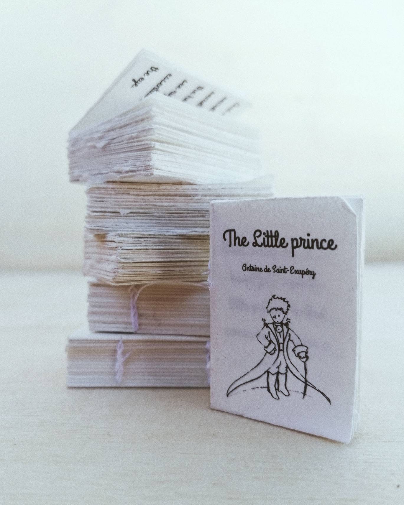 The little Prince gift petit prince the little prince the - Etsy España