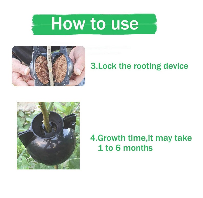 3 Pack Reusable Plant Rooting Air Layering High-pressure Box - Etsy