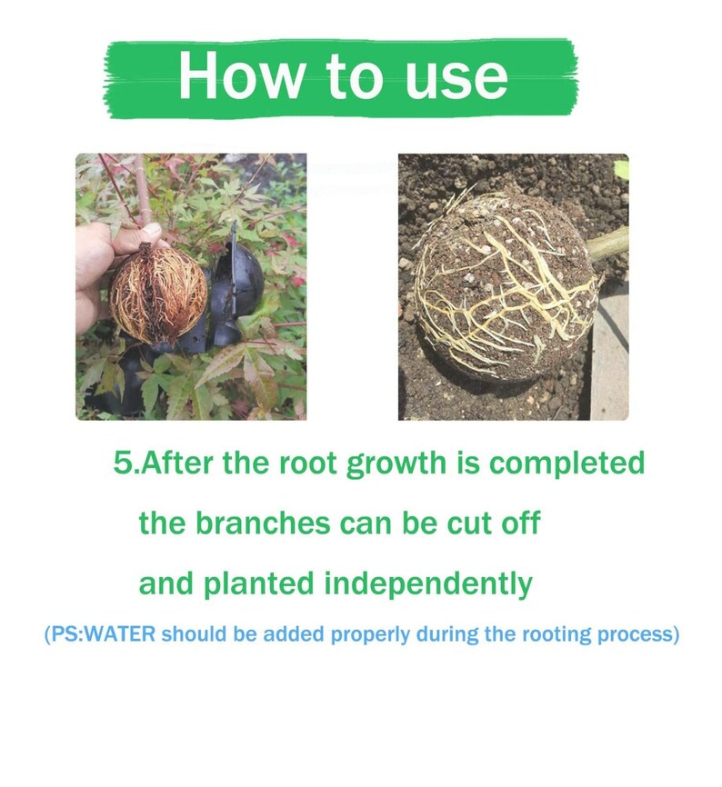 3 Pack Reusable Plant Rooting Air Layering High-pressure Box - Etsy