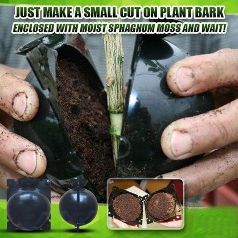 3 Pack Reusable Plant Rooting Air Layering High-pressure Box - Etsy