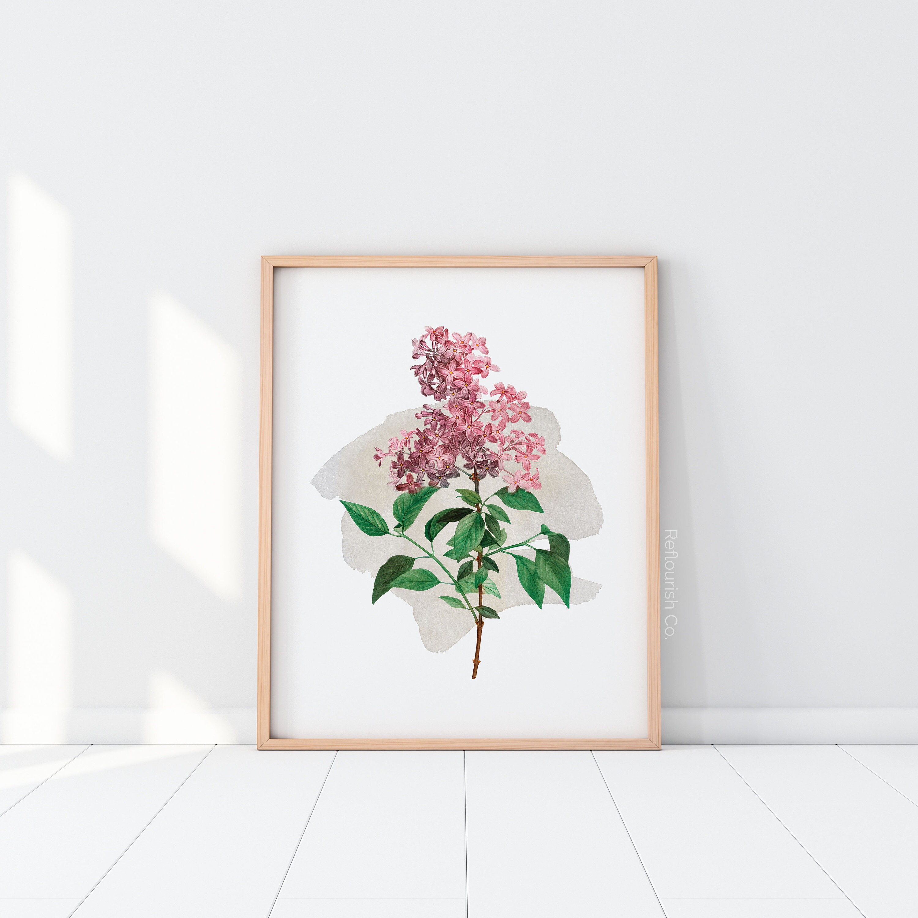 Set of Three Lilac Printables Vintage Botanical Prints - Etsy